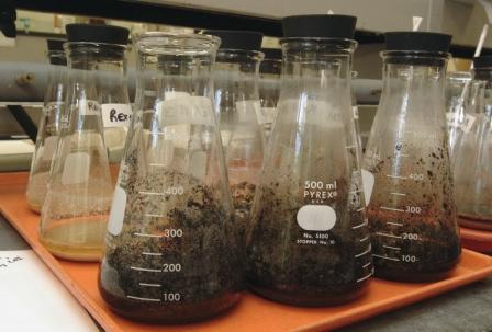 soil_testing_lab - SFT